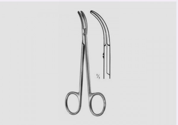 Scissors