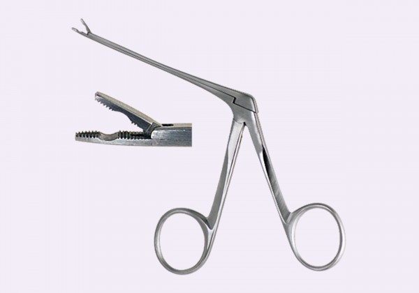 Alligator Forcep